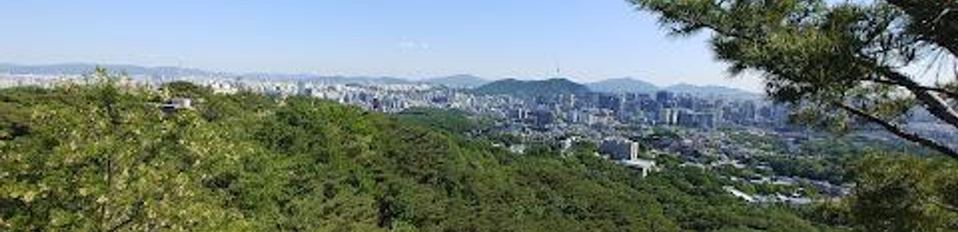 Discover Tranquility in Samcheong Park