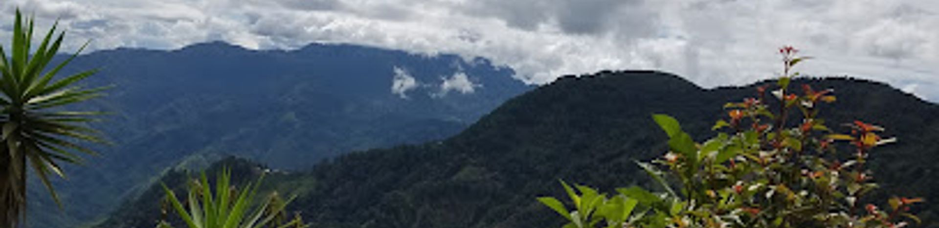 Explore the Natural Wonders of Parque Nacional Cusuco