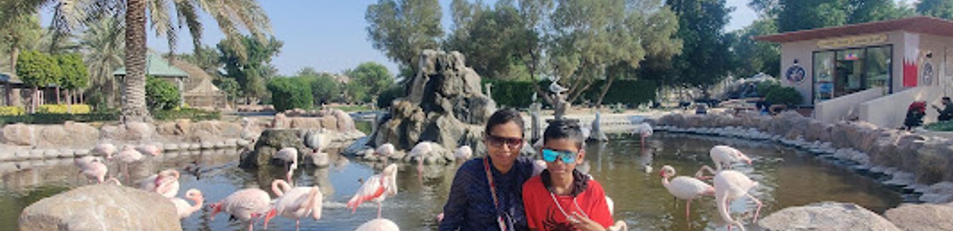 Al Areen Wildlife Park: A Birdwatcher's Paradise