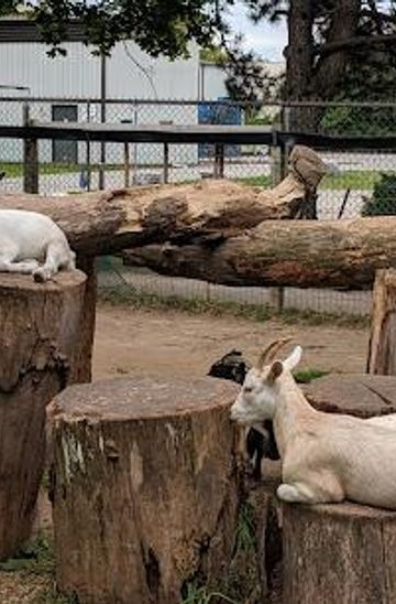 Experience the Joy of Nature at Happy Rolph's Animal Farm