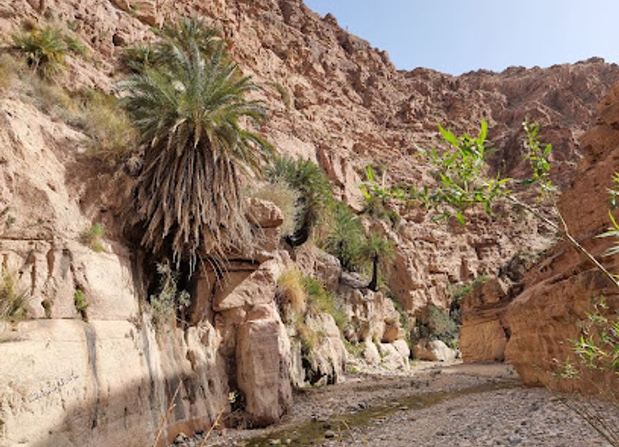 Day 2 Exploring the Ancient Wonders and Bedouin Culture of Feynan