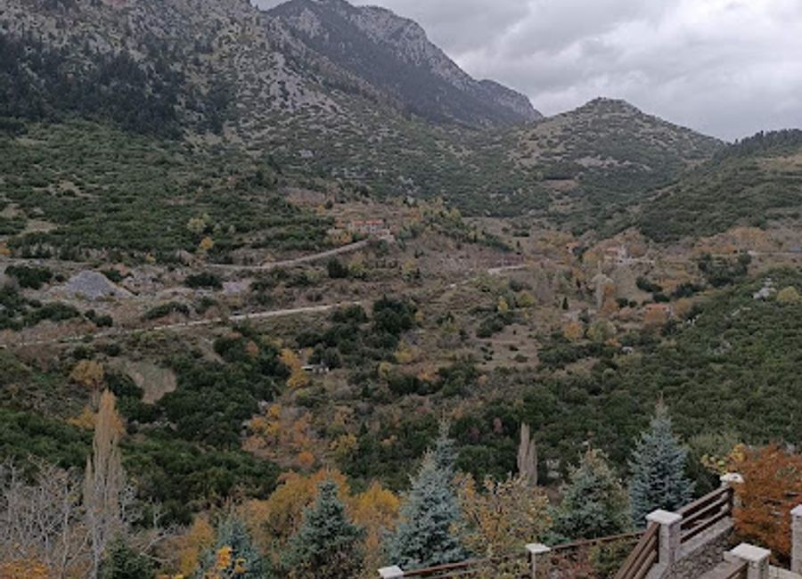 Day 5 Enchanted by Nature's Embrace: A Day of Discovery in Parnassos ...