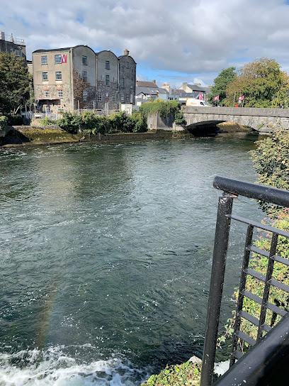 The 10 best attractions near The River Corrib Spill Rainbow (2026 ranked)