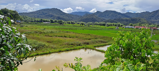 The 10 best landmarks near Bario, Sarawak, Malaysian Borneo (2026 ranked)