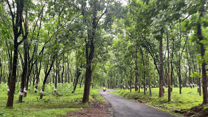 The 10 best attractions near Kalady Plantation (2026 ranked)