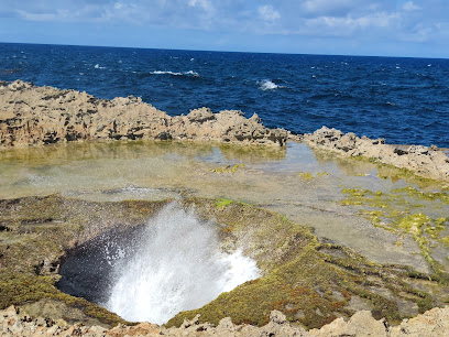 Best experiences near Suplado / Jacuzzi