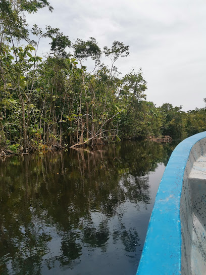 Best attractions in Río Platano Biosphere Reserve