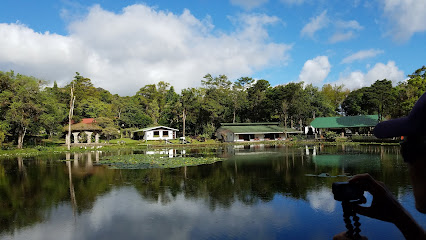 Best attractions in Selva Negra Coffee Estate