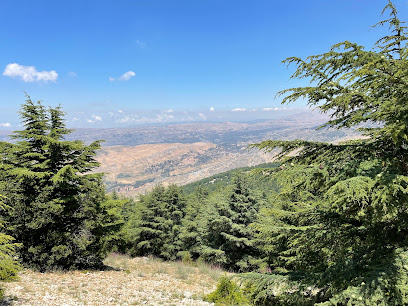 Best landmarks in Al Shouf Cedar Nature Reserve