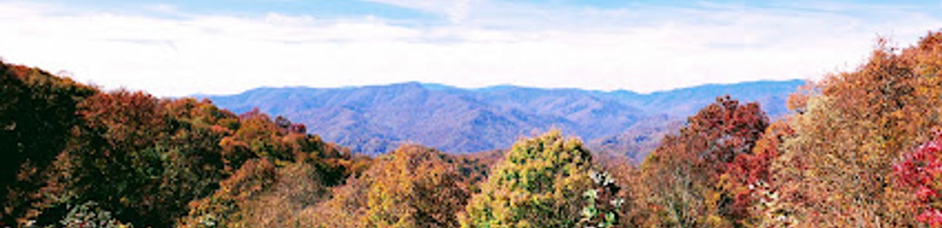 Breathtaking Vistas at Thomas Divide Overlook
