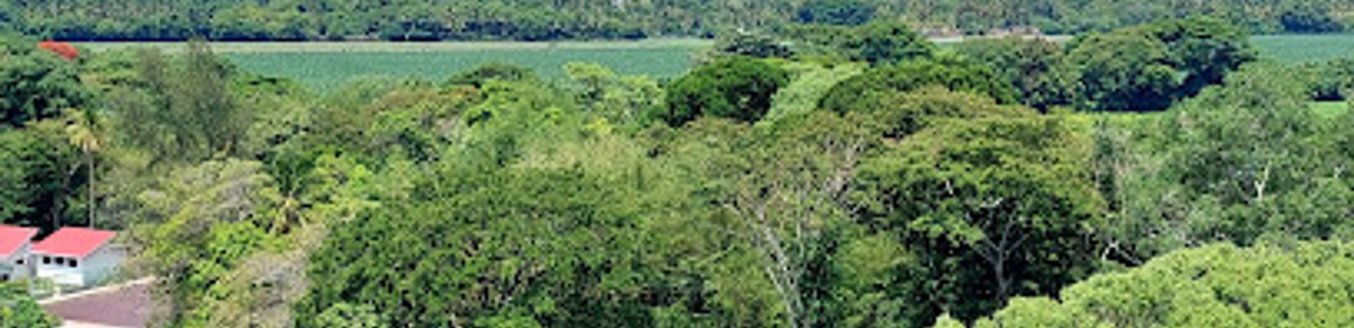 Exploring the Untouched Beauty of Walter Thilo Deininger National Park