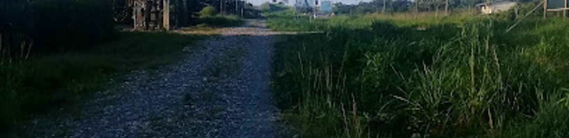 Explore the Exciting Centro Recreativo MAPALI