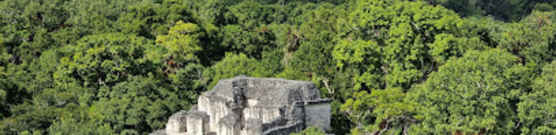 Explore the Ancient Wonders of Tikal National Park