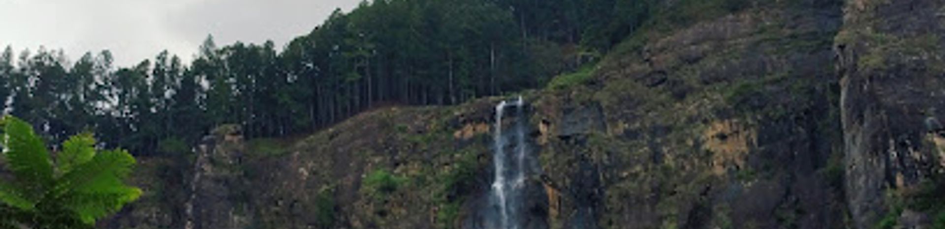 Bambarakanda Falls - The Tallest Waterfall in Sri Lanka
