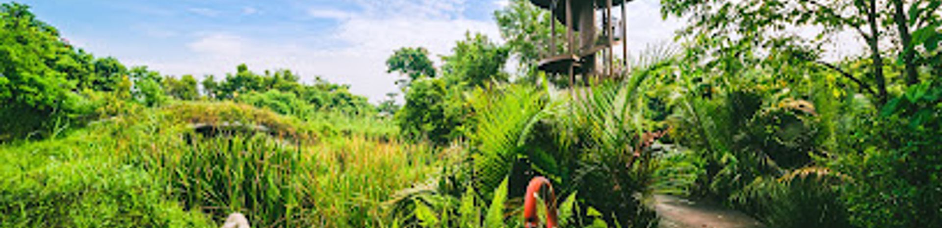 Raptor Tower - A Bird's Eye View of Singapore