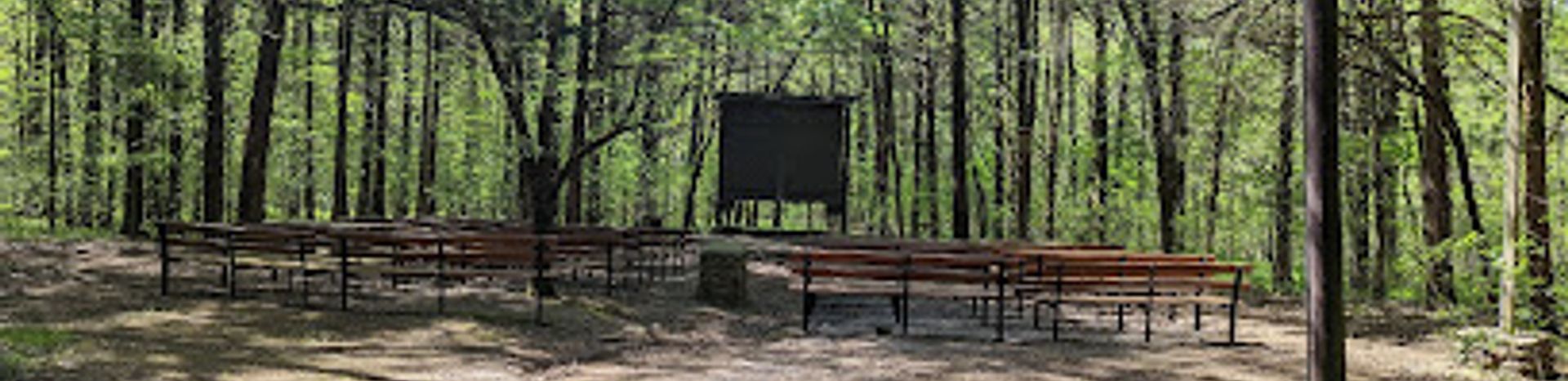 Experience the Majestic Amphitheater at Devil's Den State Park