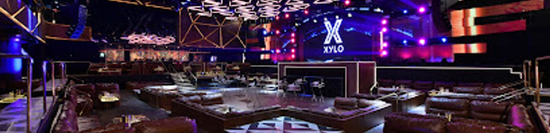 Experience the Vibrant Nightlife at Xylo at The Palace