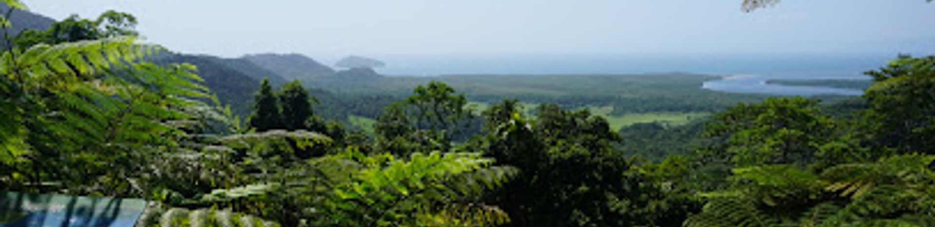 Explore the Ancient Wonders of Daintree Rainforest